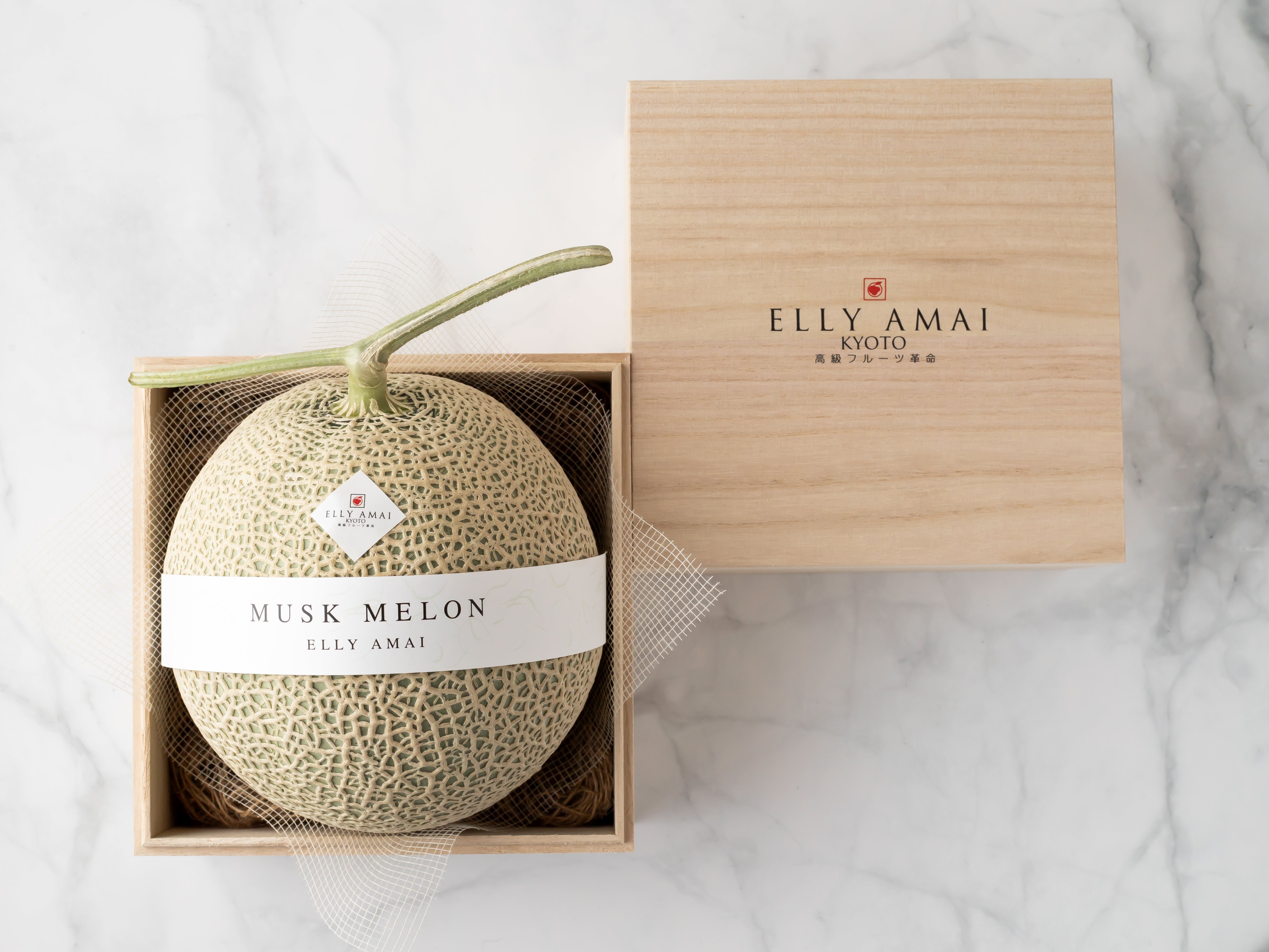 The Musk Melon – ELLY AMAI